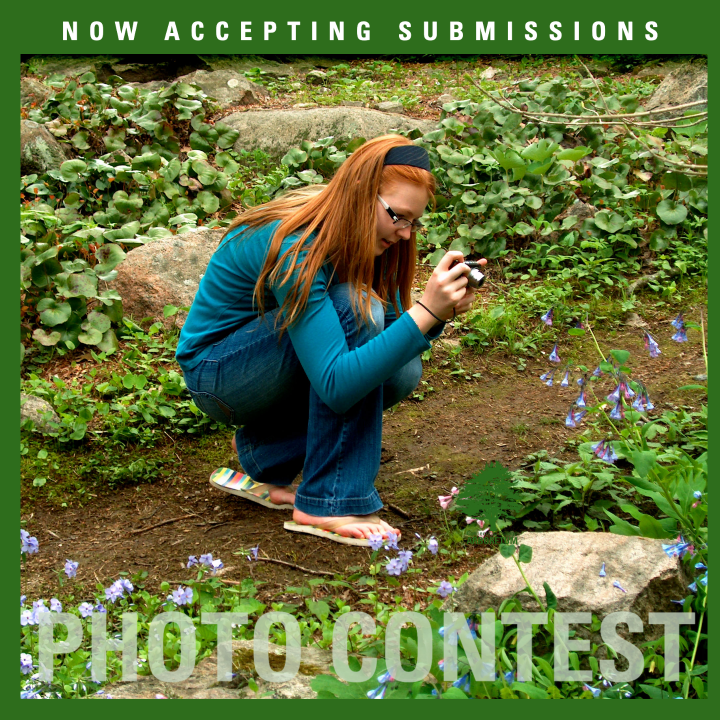 The Arboretum · Connecticut College