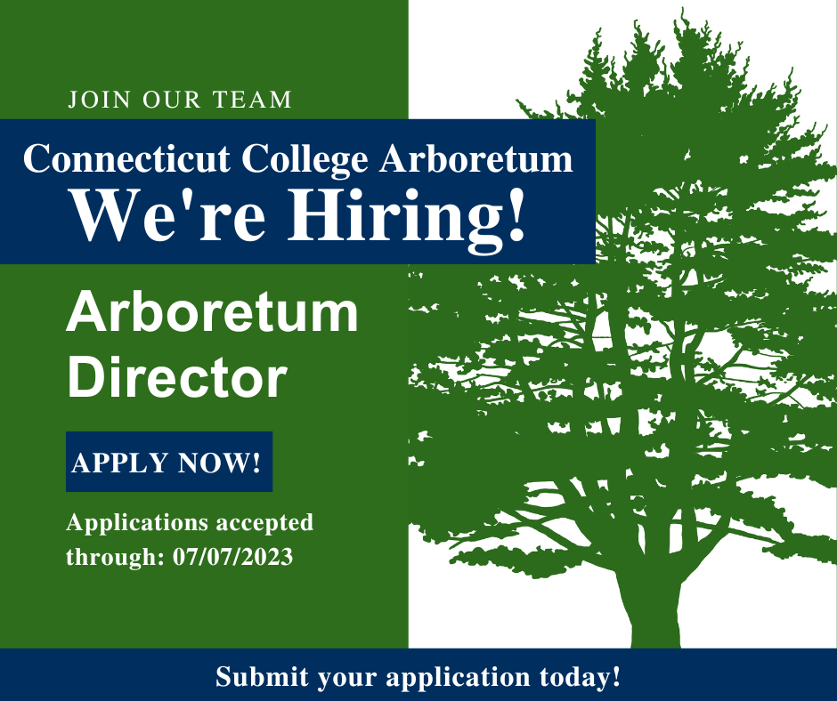 The Arboretum · Connecticut College